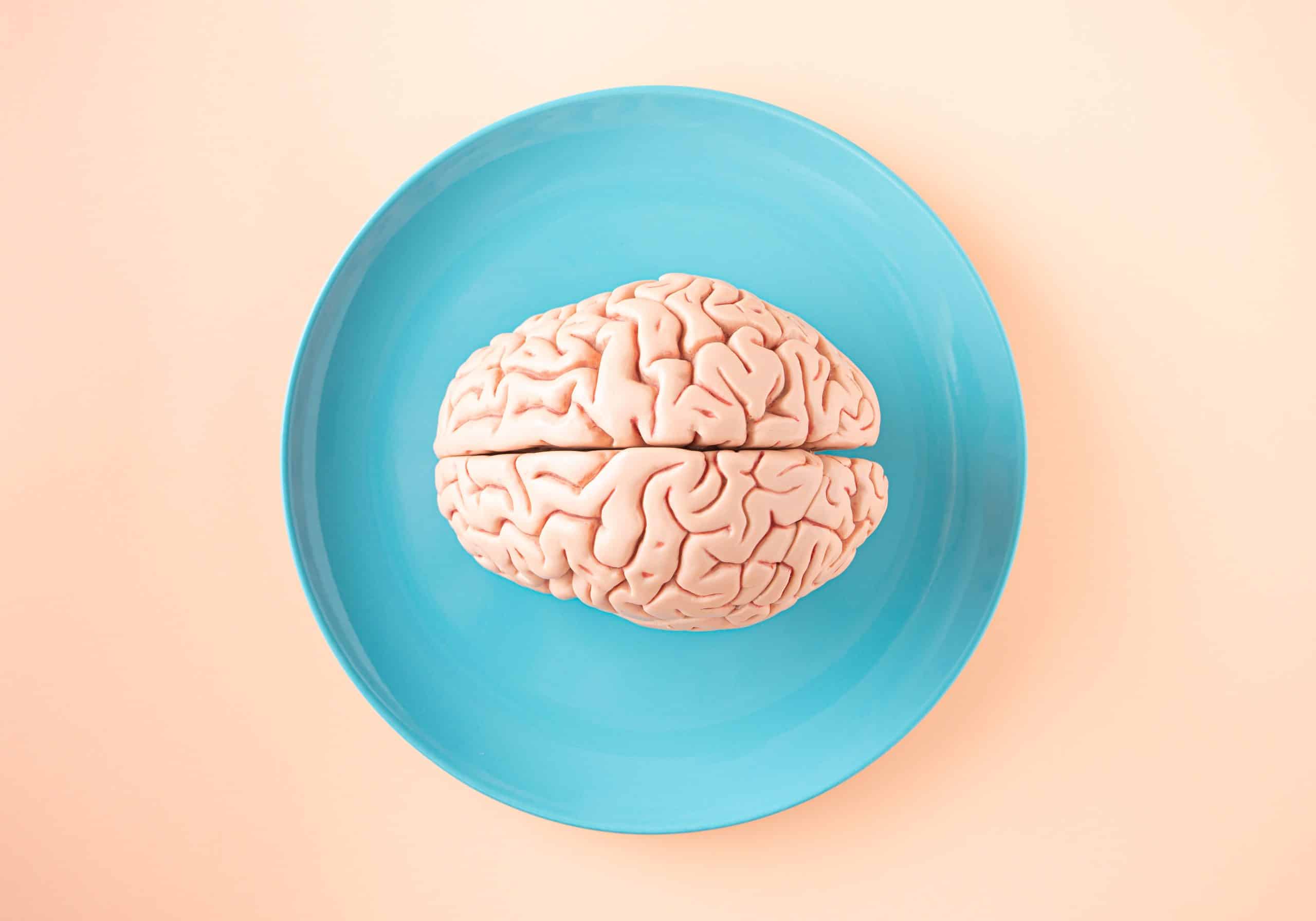 How Walking and Cycling Quiets the Brain - Freewheeling